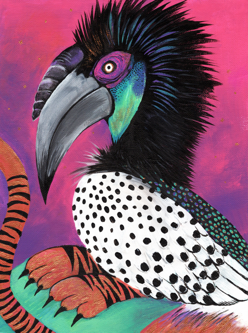 Toucan Tiger – Bohemian Dreamer