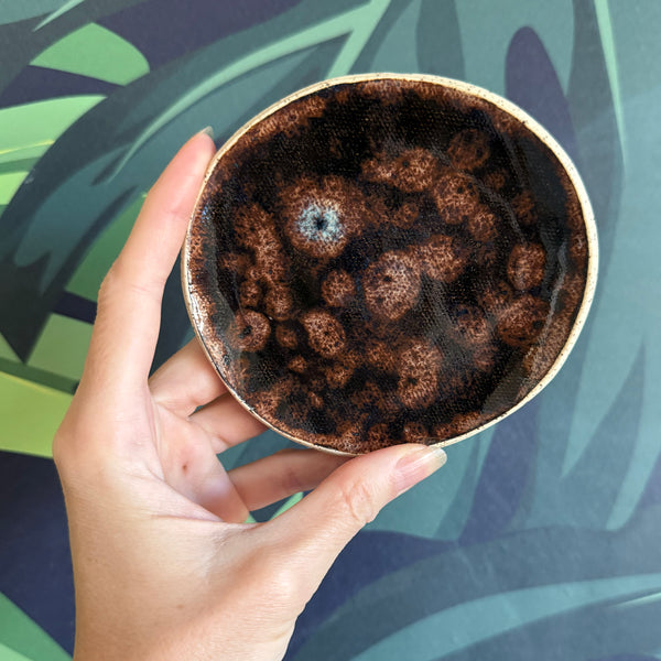 Tortoise Shell Plate – Bohemian Dreamer