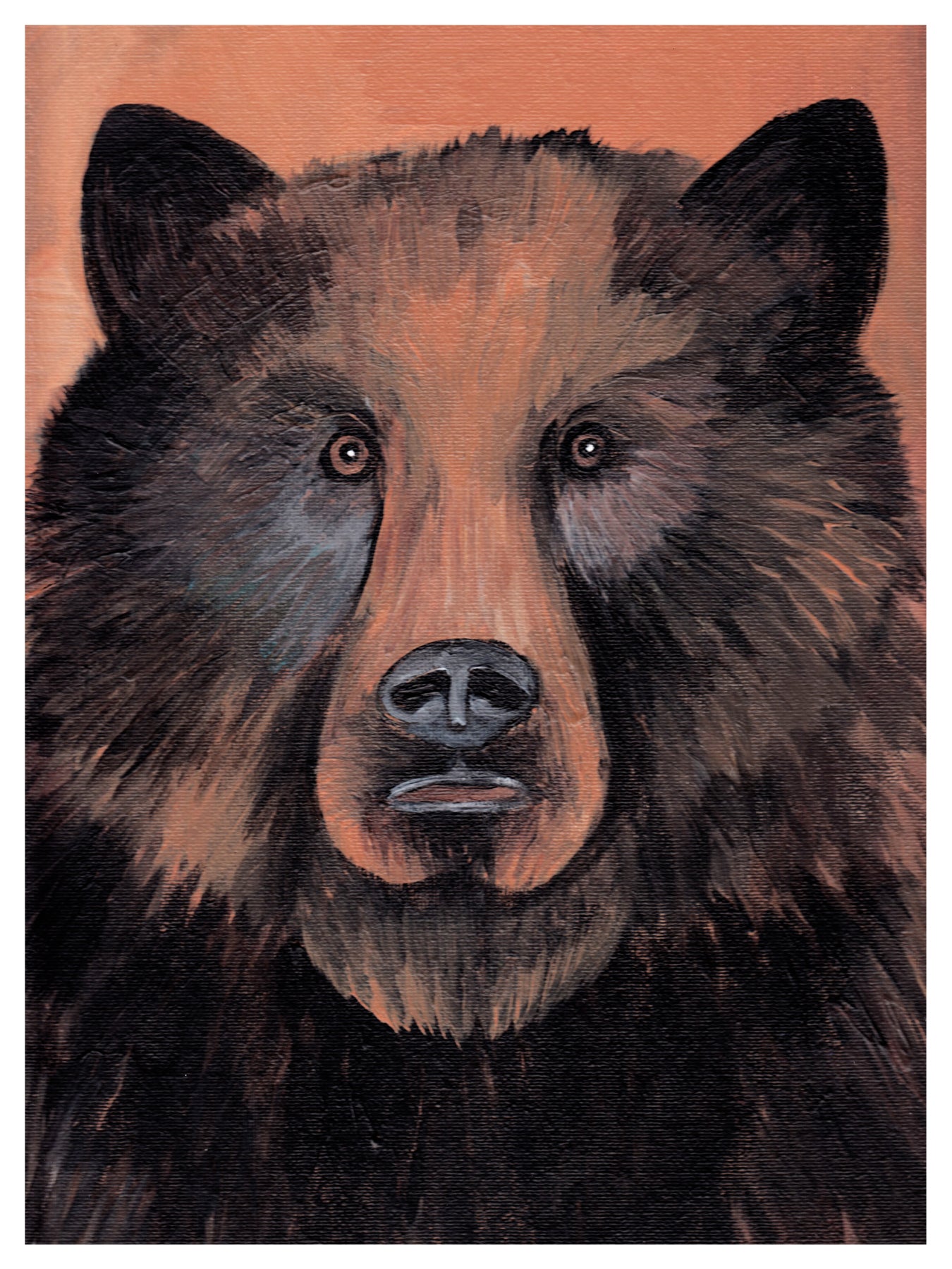 Bear Print – Bohemian Dreamer