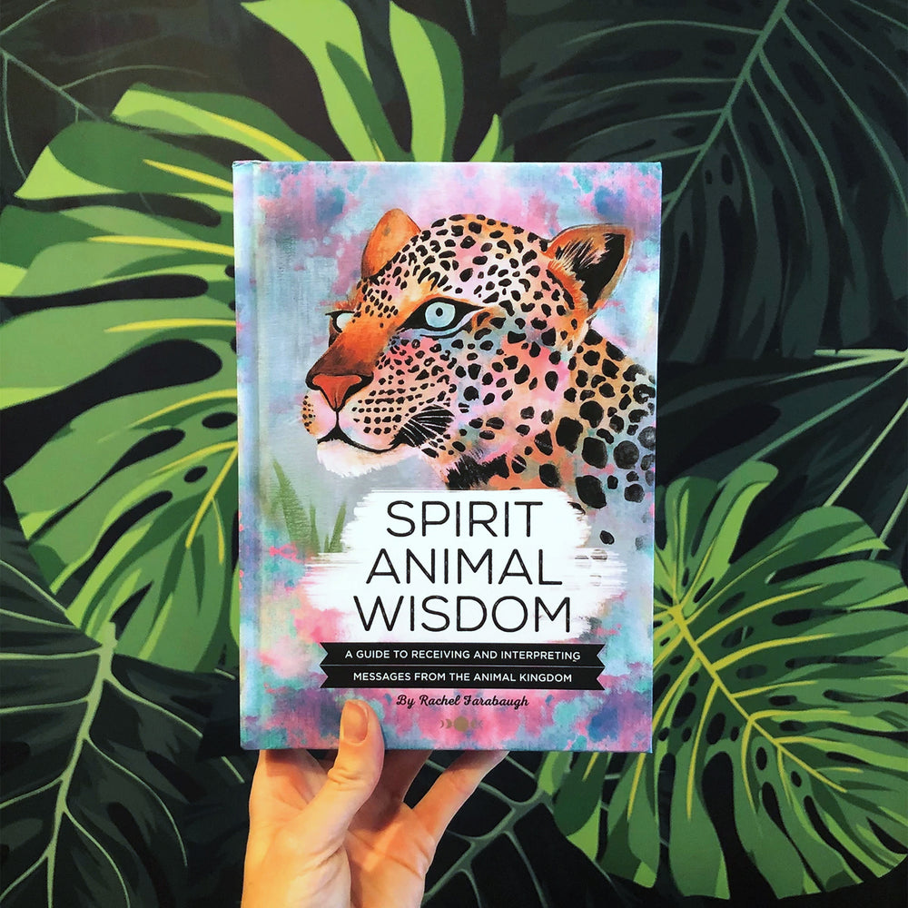 Spirit Animal Wisdom Book – Bohemian Dreamer